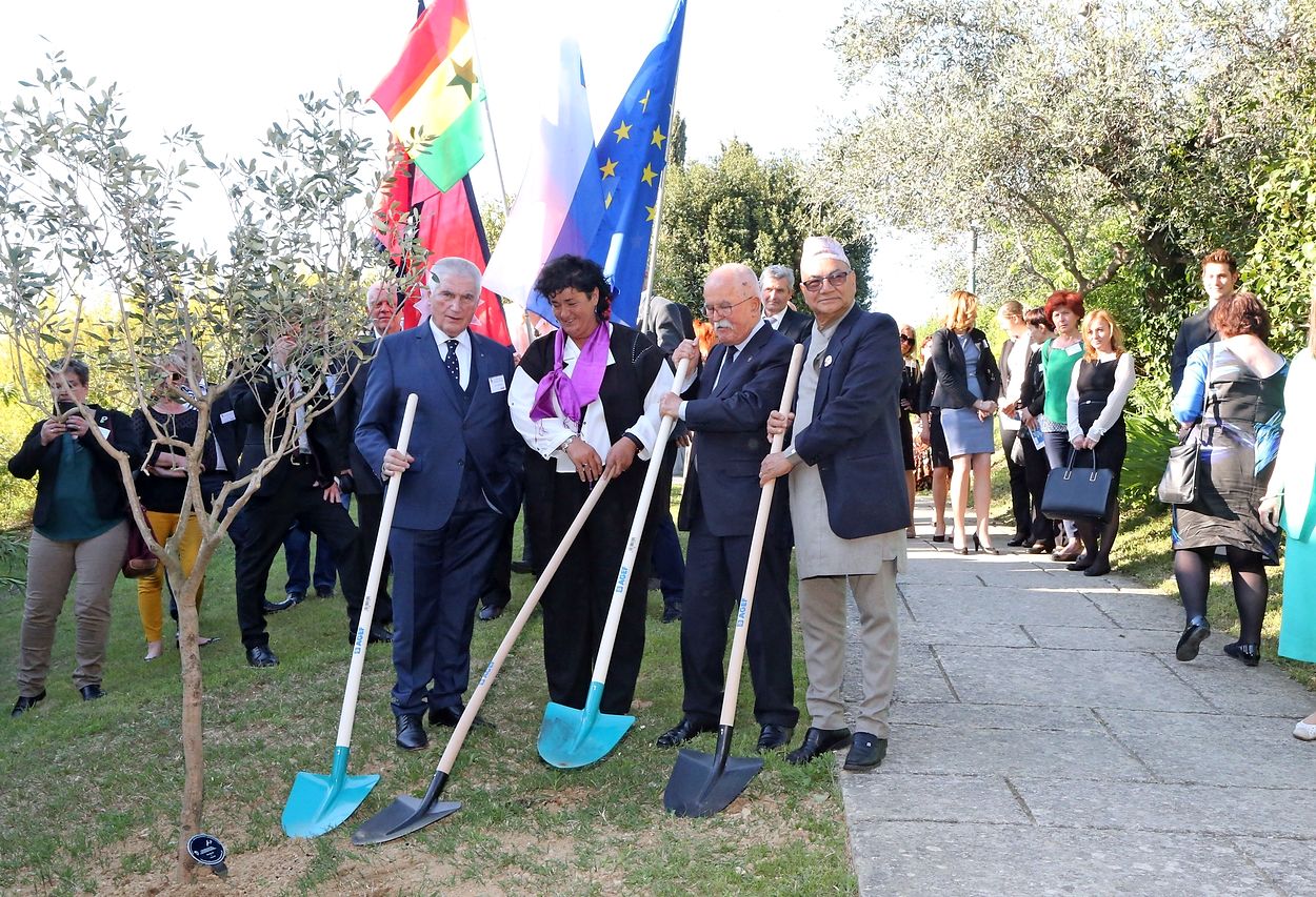 Oljki bosta opominjali na pomen medkulturnega dialoga - Primorske novice