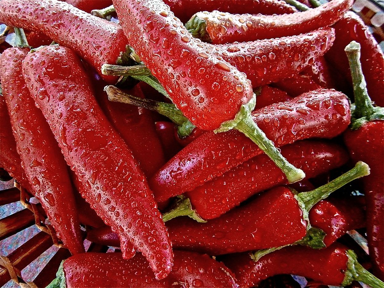 Kitajec v dobri minuti pojedel 50 feferonov - Primorske novice