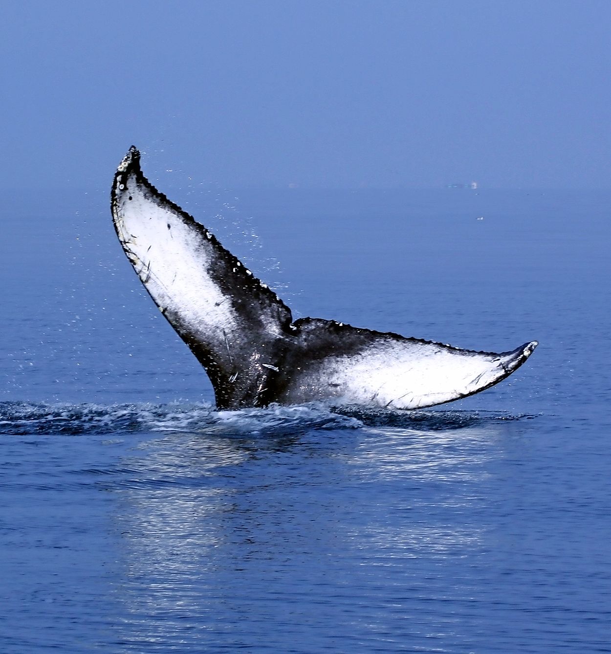 Fotografija je simbolična. Foto: Lovrenc Lipej