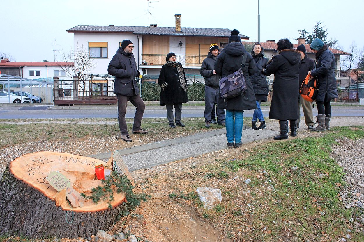Protestirali so zaradi padlih ceder - Primorske novice