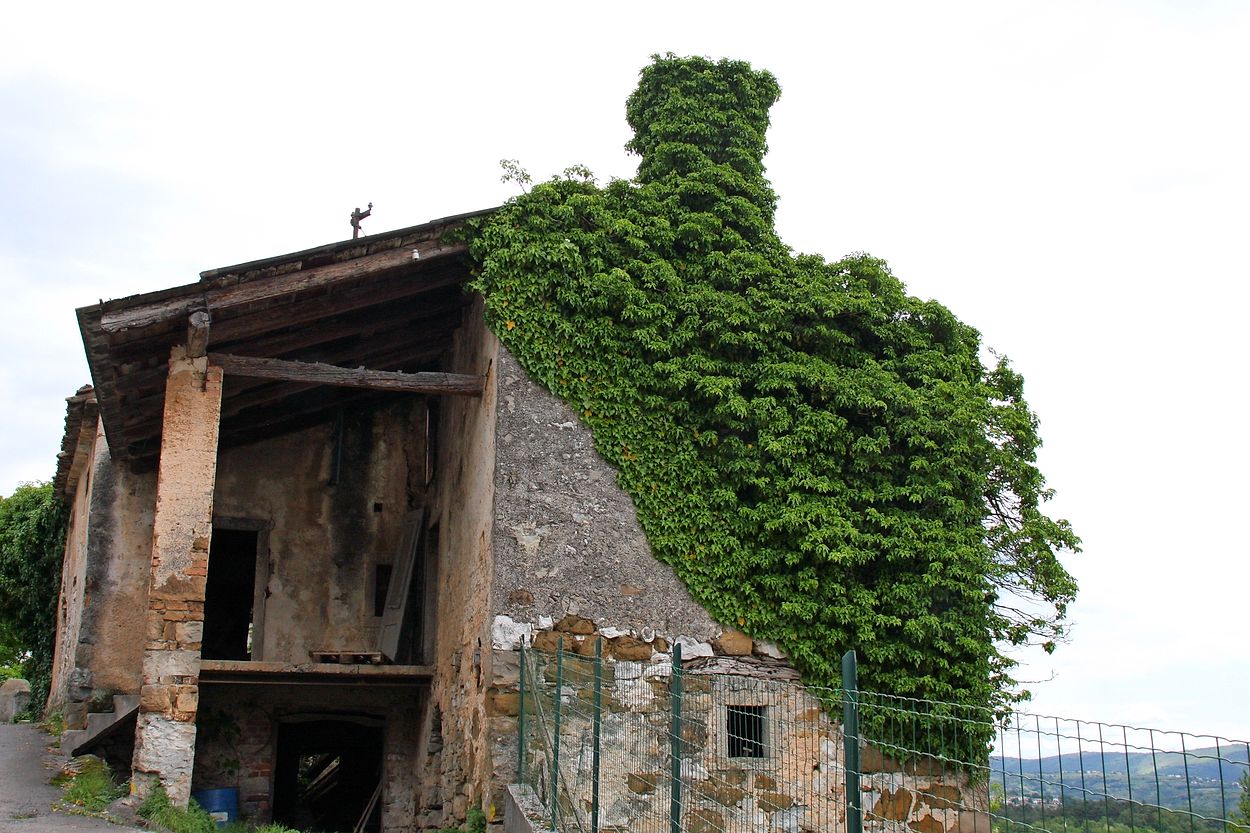 Mladi lahko precej prihranijo - Primorske novice