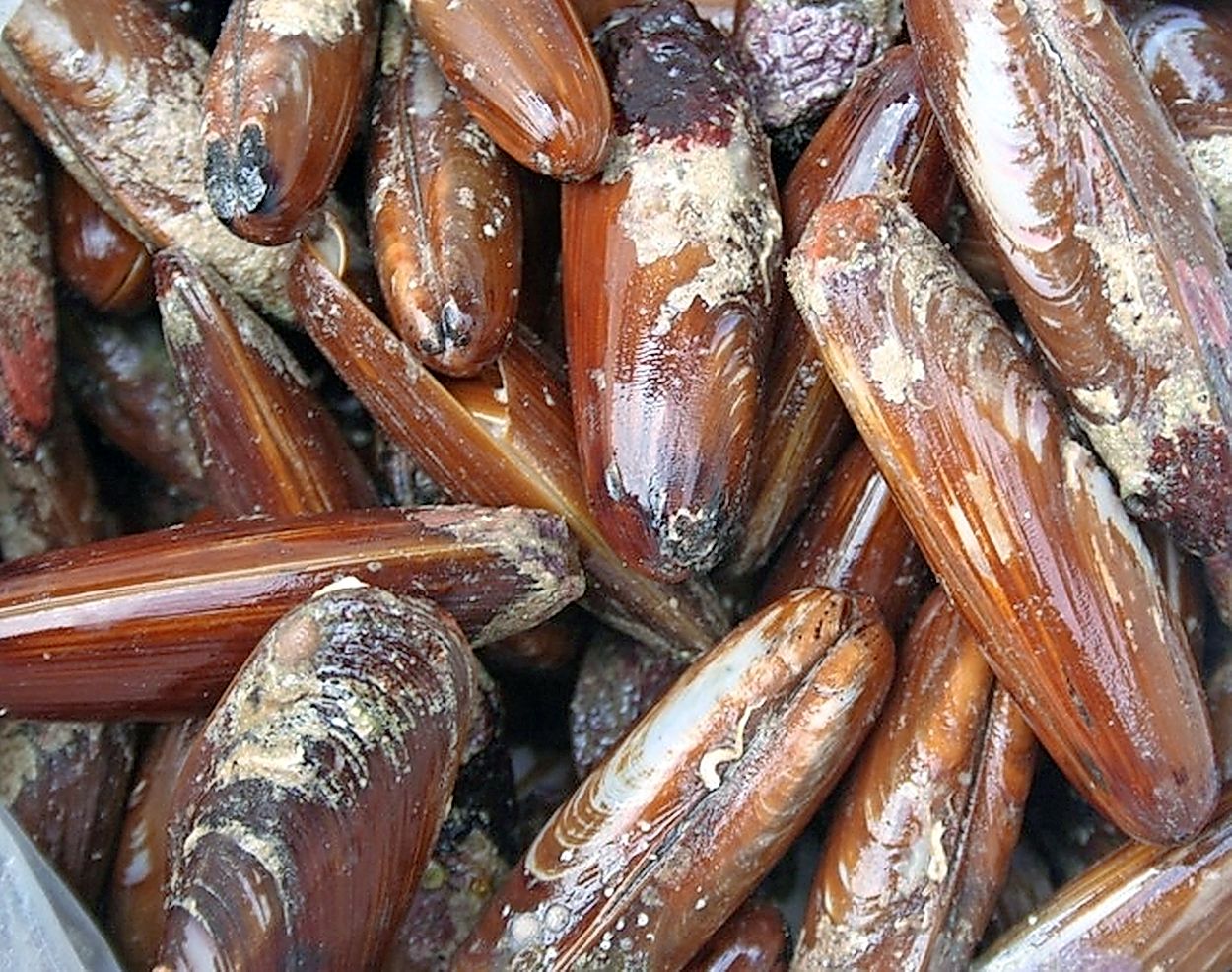 Dateljne preselili na sodišče v Novo Gorico - Primorske novice