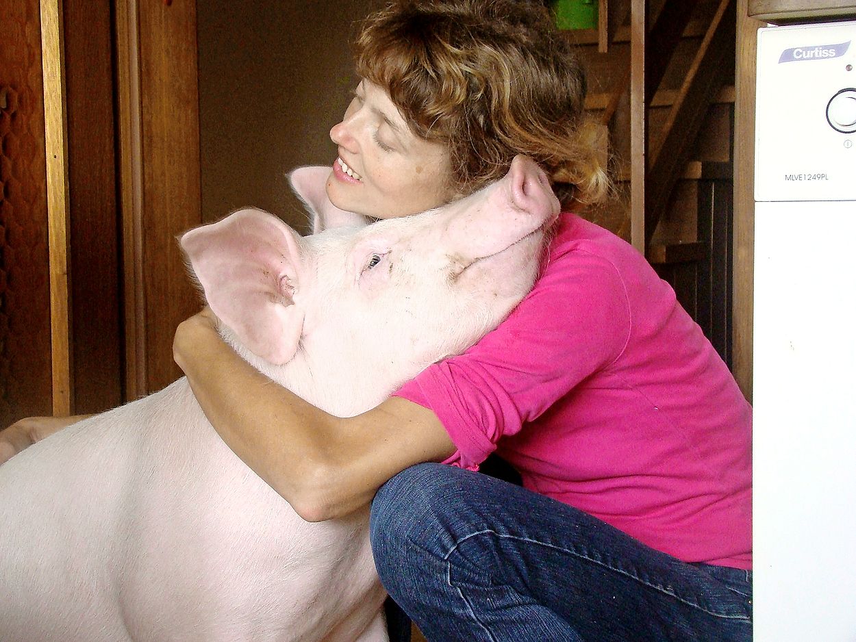 Pujsek Odi ima svoj FB profil - Primorske novice