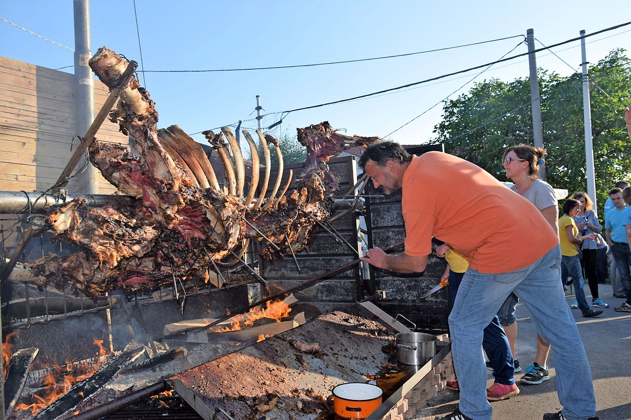 Bik se maja v Praproti na ražnju vrti - Primorske novice