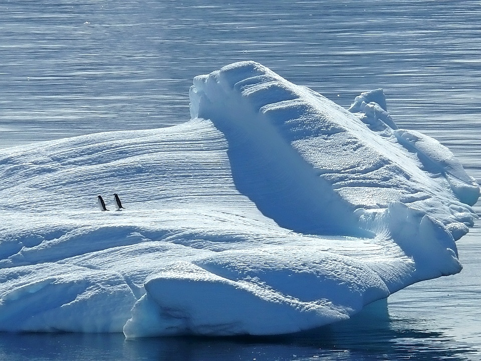 Od Antarktike se je odcepila 315 milijard ton težka ledena gora ...