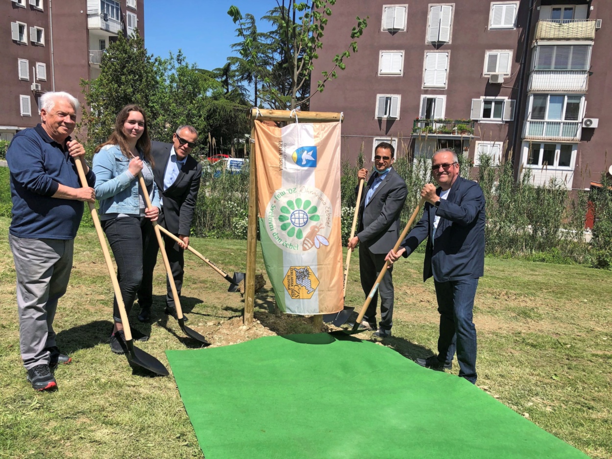V Izoli ob svetovnem dnevu čebel zasadili medovite lipe - Primorske novice