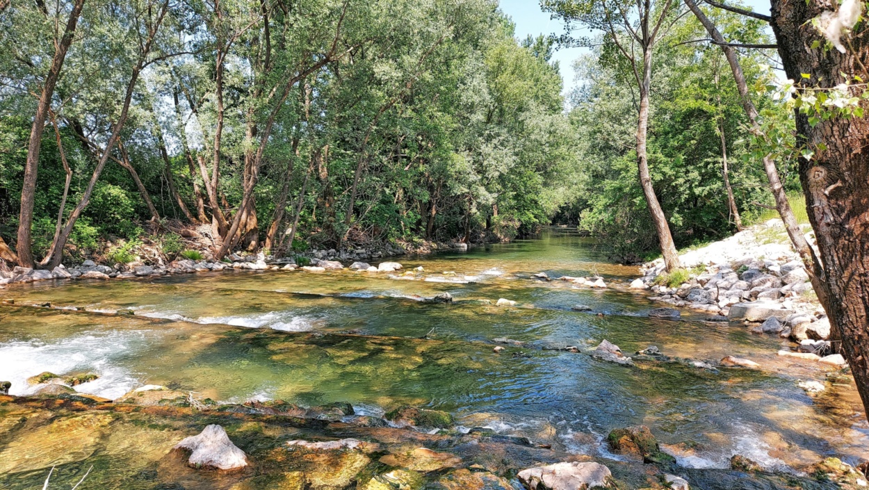 Tudi ribe morajo imeti prosto pot - Primorske novice