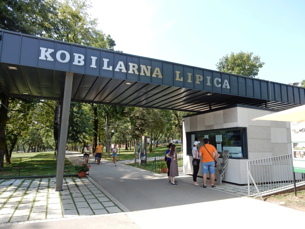 2TDK in Kobilarna Lipica ostajata pod upravljanjem države - Primorske ...
