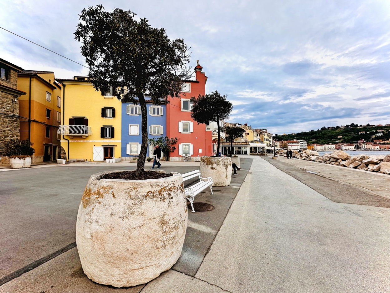 Hraste s Punte bodo preselili - Primorske novice