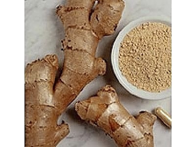 Ingver lahko pozdravi sto bolezni - Primorske novice