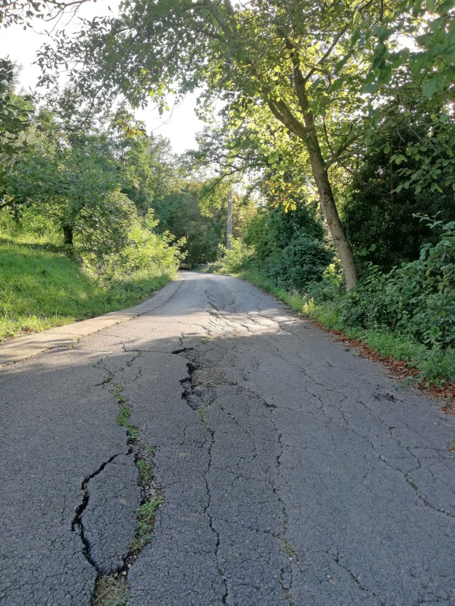 Obnova ceste v Krnici, ko odkupijo zemljišča - Primorske novice