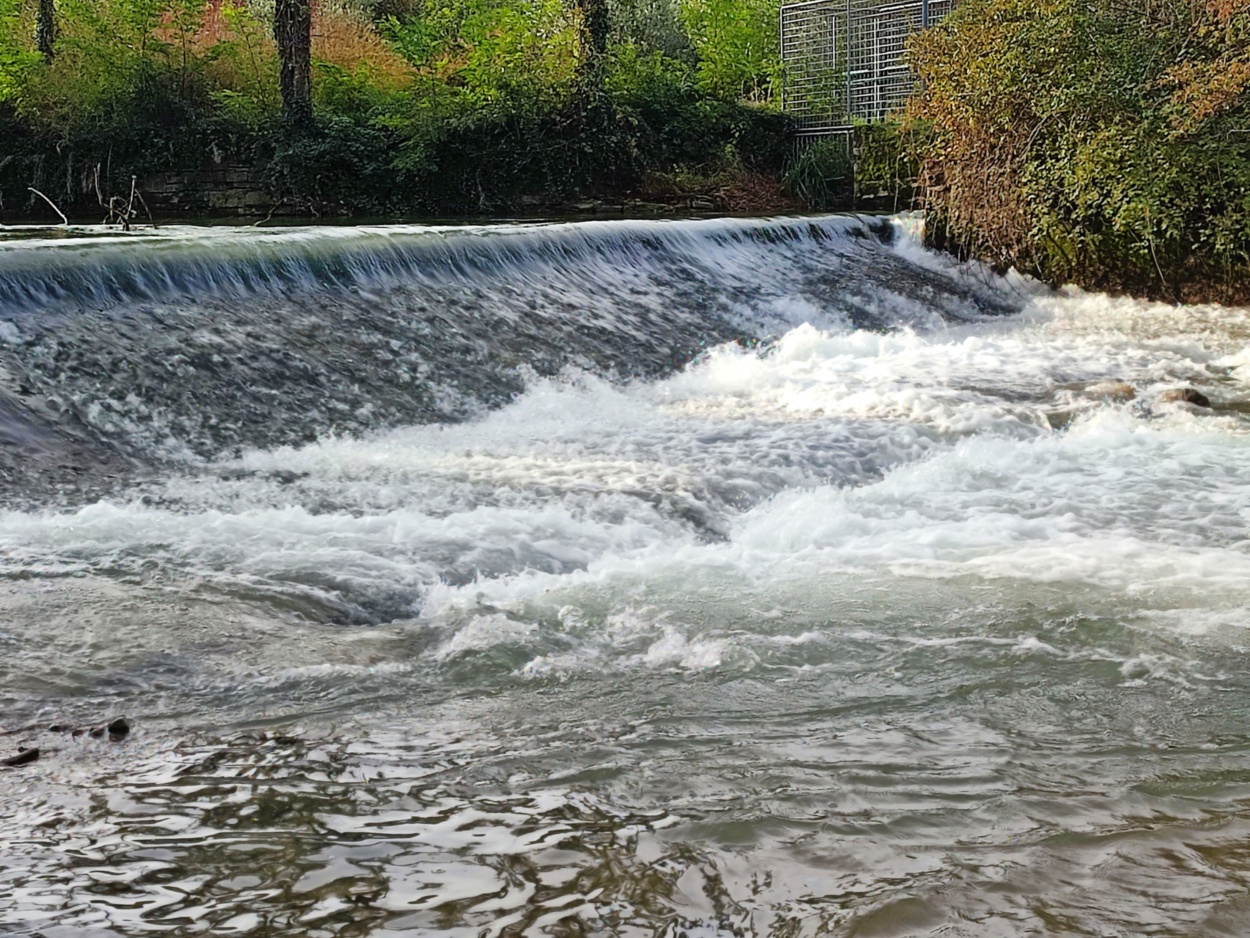 Reka Rižana: edini pitni vir je ogrožen - Primorske novice