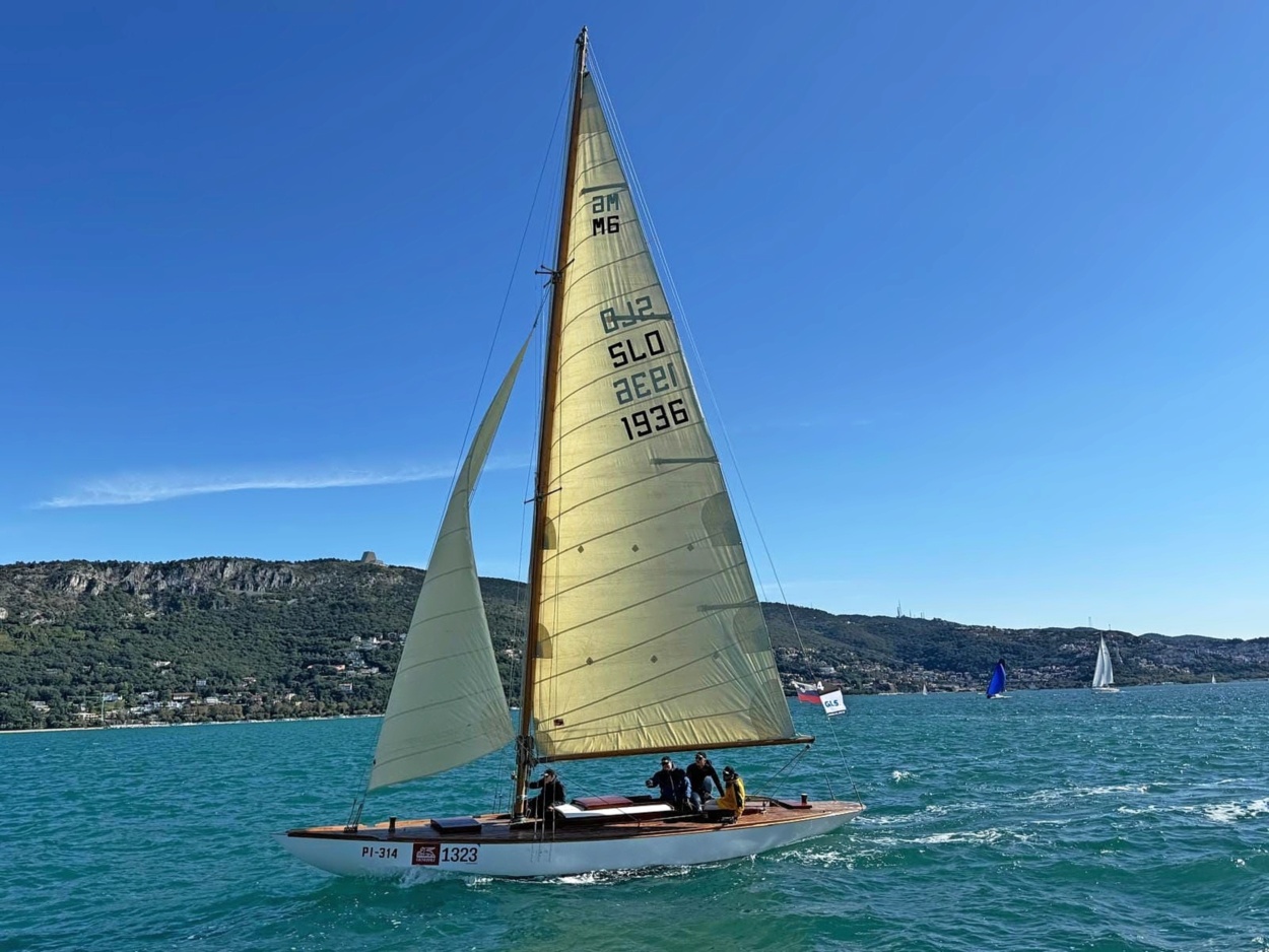 Lesena lepotica se je pokazala pred Trstom - Primorske novice