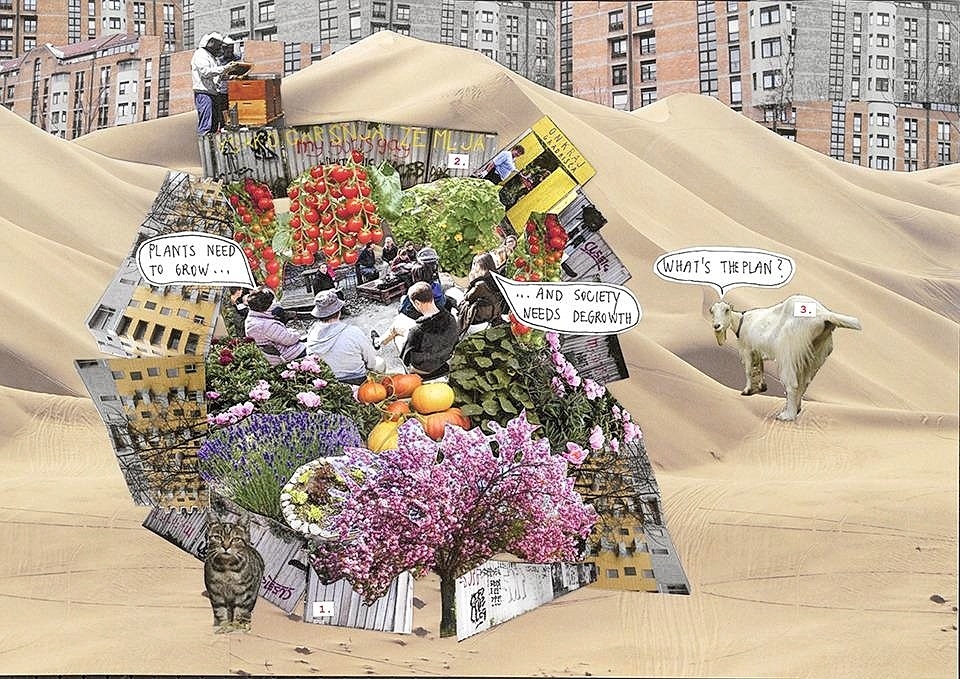 Razstava Polonce Lovšin v Hiši kulture - Primorske novice