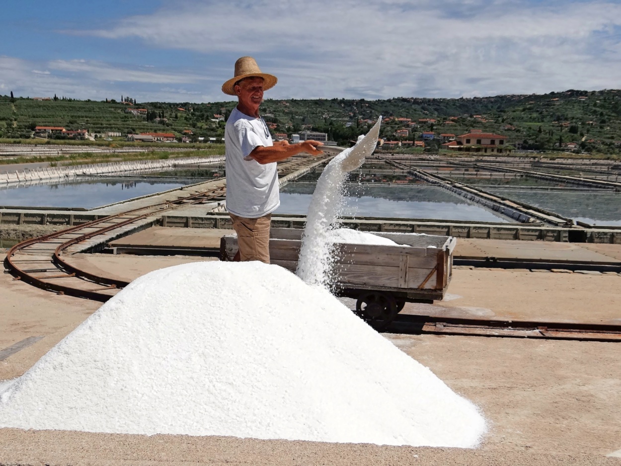 V Sečoveljskih solinah pobrali prvih 200 kilogramov soli - Primorske novice